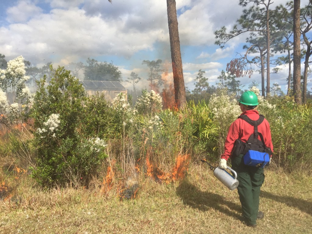 Women of wildfire: revolution, superheroes, and the case for diversity ...